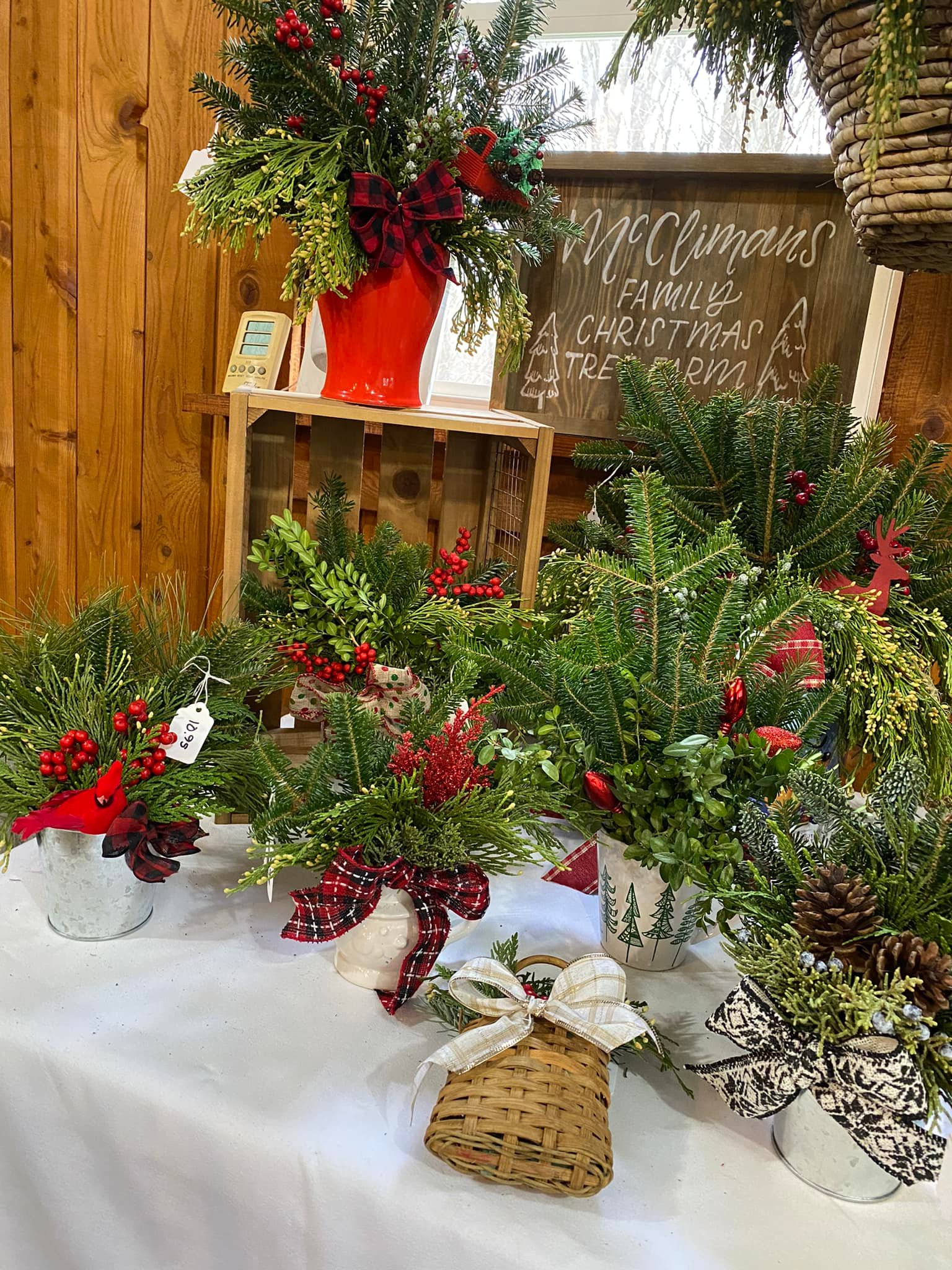 McClimans Family Christmas Tree Farm | Visit Crawford County, PA