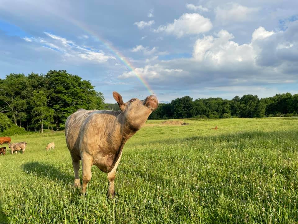 Apple Bottom Farm | Visit Crawford County, PA