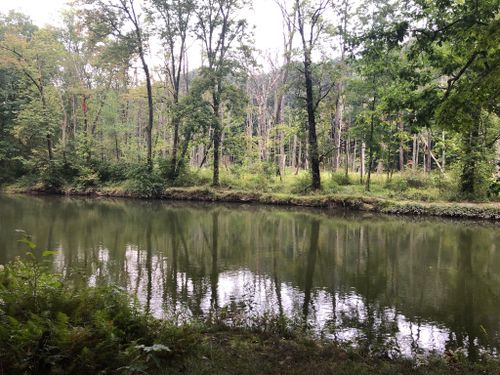 Sugar Run Trail- Pymatuning State Park | Visit Crawford County, PA