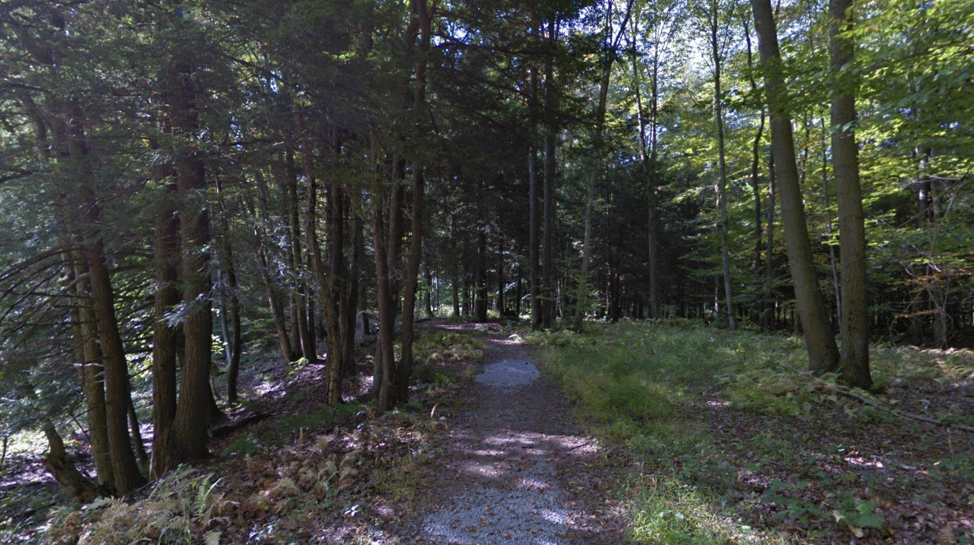 Helen B. Katz Natural Area | Visit Crawford County, PA