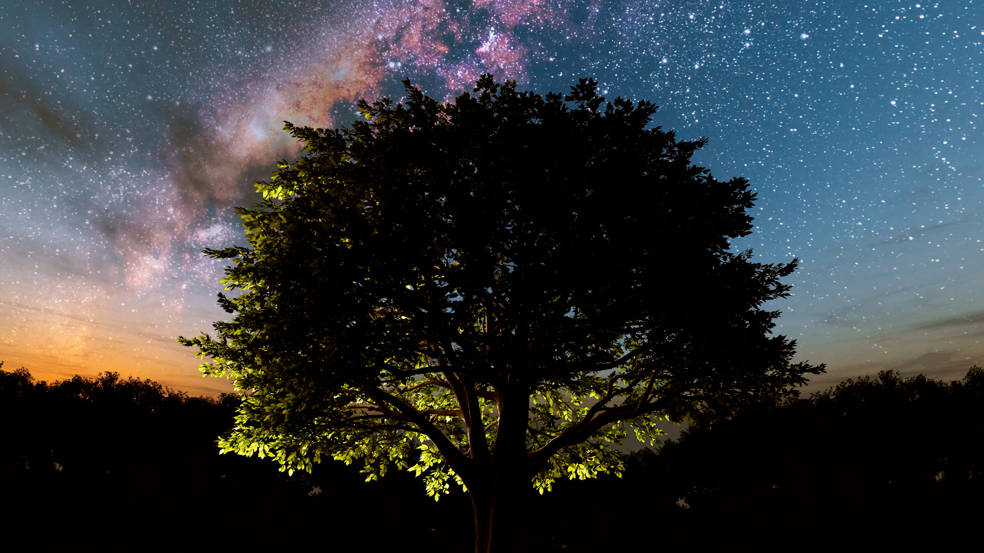 Witness Nature’s Greatest Views: Stargazing in Crawford County | Visit ...