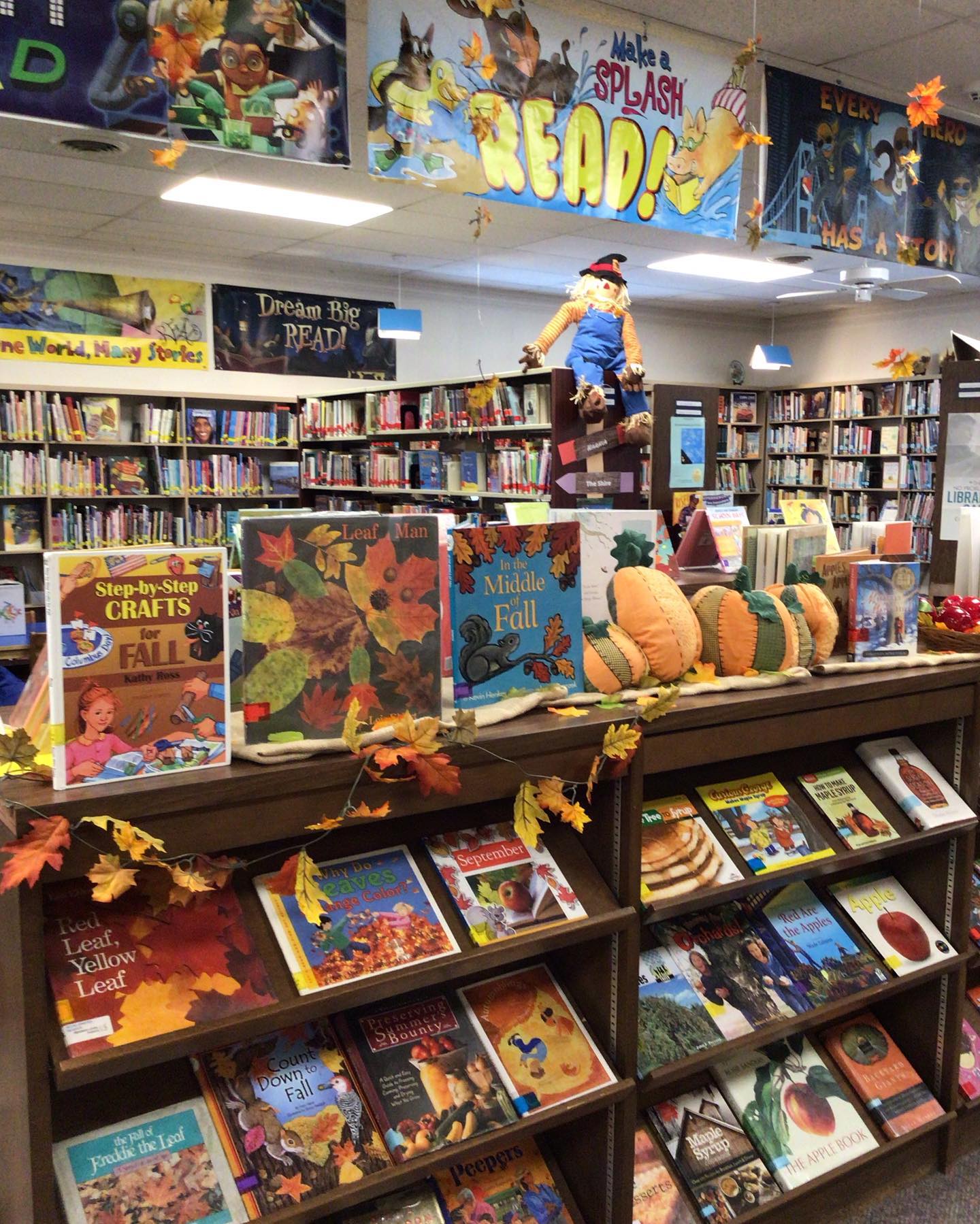 Discover Crawford County’s Vibrant Libraries: Where Knowledge Meets ...