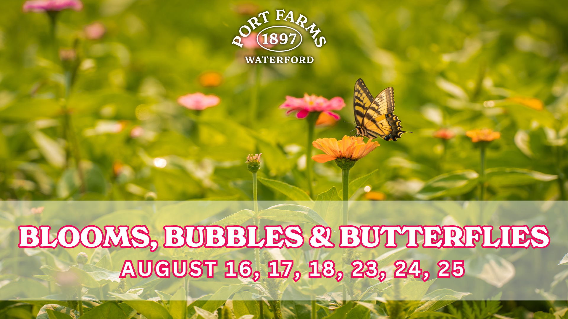 Blooms, Bubbles & Butterflies | Visit Crawford County, PA