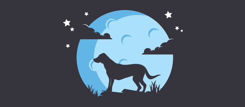 The Curious Incident of the Dog in the Night-Time | Visit Crawford ...