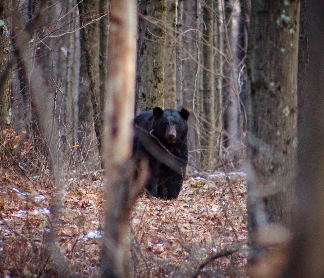Your Ultimate Guide to Hunting in Crawford County, Pennsylvania | Visit ...