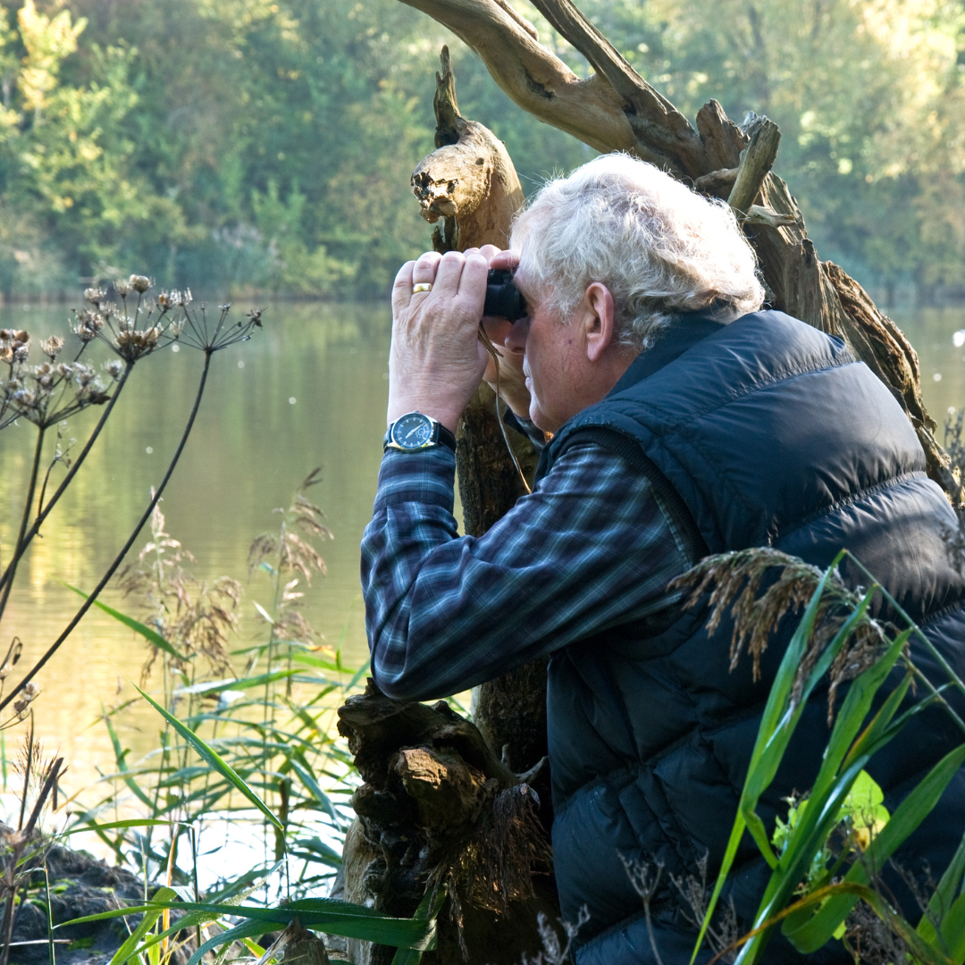 Spring Birdwatching in Crawford County, PA: What to See and Where to Go ...