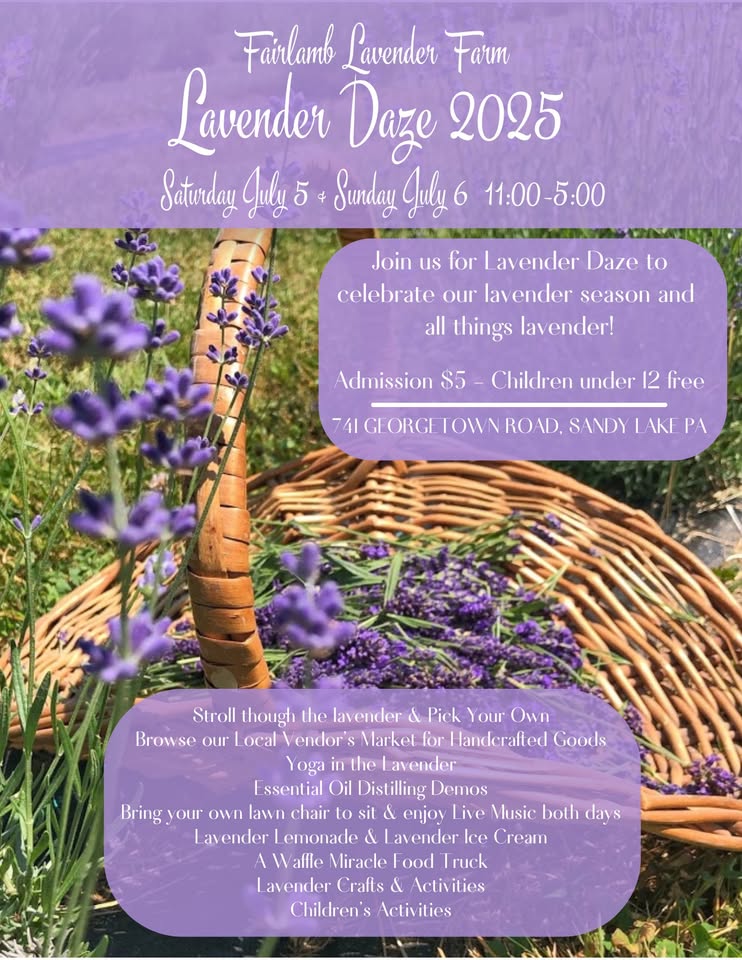 Lavender Daze 2025 | Visit Crawford County, PA