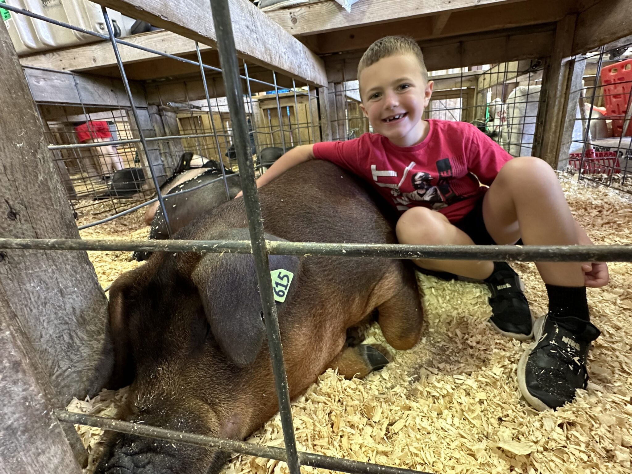 Small Town, Big Spirit: The Ultimate 2026 Guide to Crawford County ...